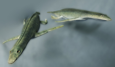 Zoologie: Lebendmodelle (1:1) (fossil / prähistorisch ...