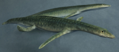 Zoologie: Lebendmodelle (1:1) (fossil / prähistorisch ...